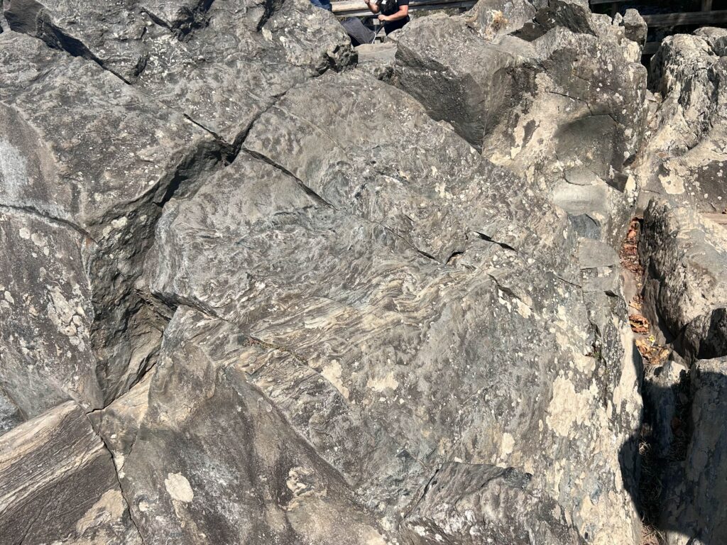 IMG_1126 – UMD Geology Club