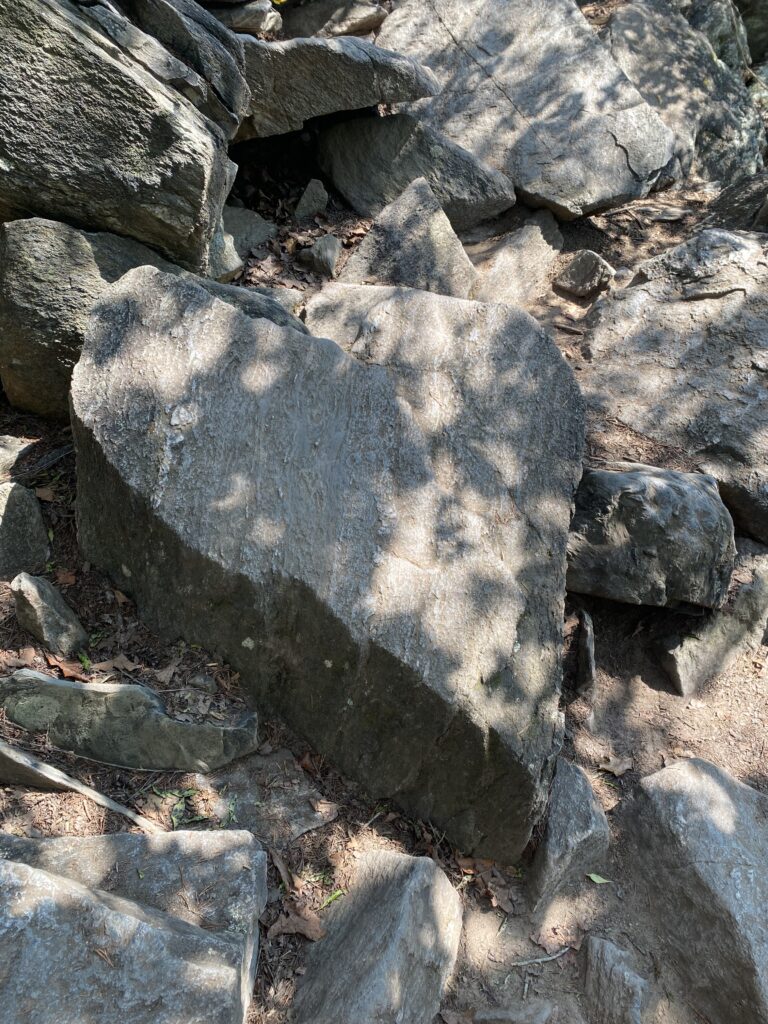 IMG_3779 – UMD Geology Club