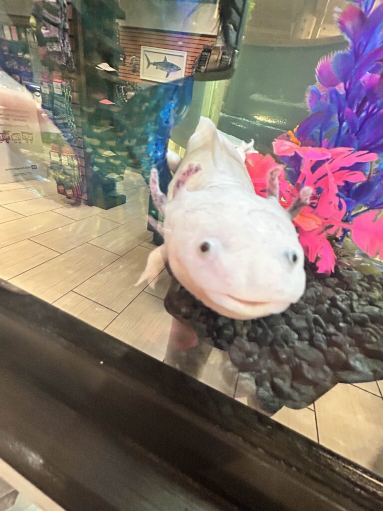 Calvert Cliffs (2024) – UMD Geology Club