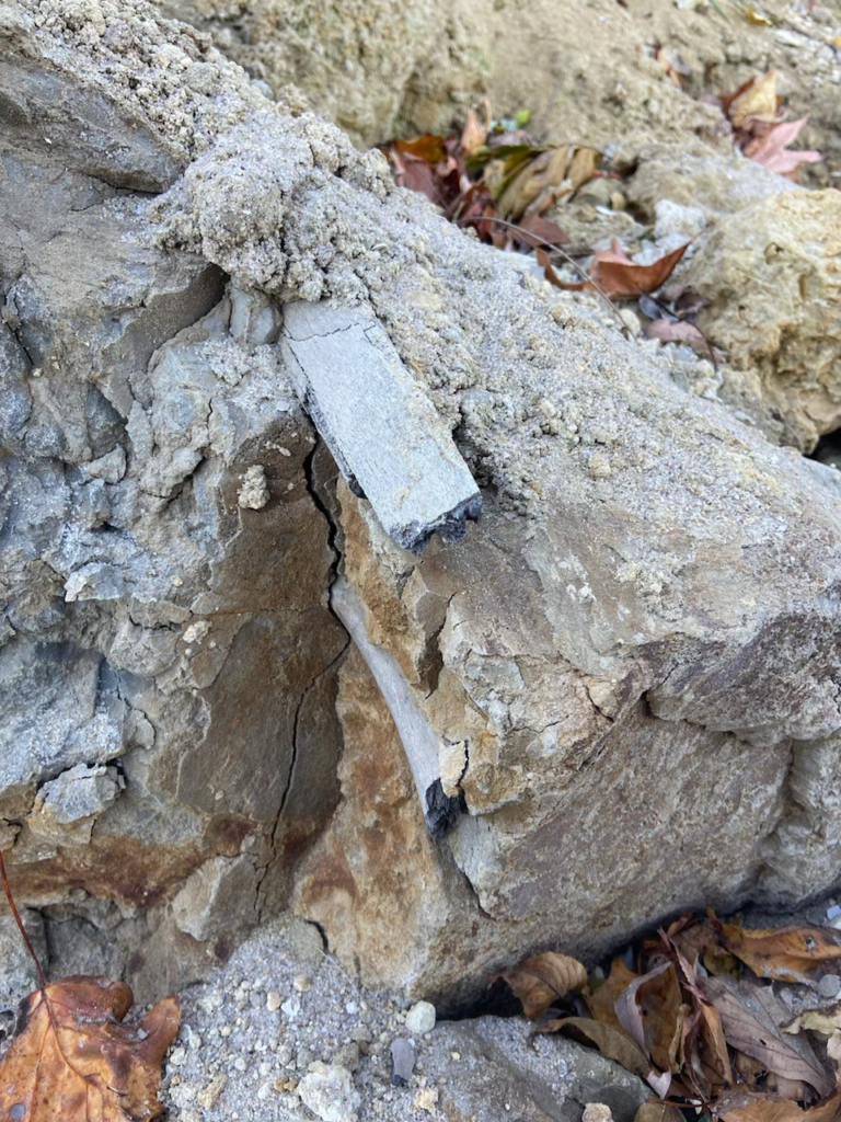 Resized_IMG_1926_1730042935307 – UMD Geology Club