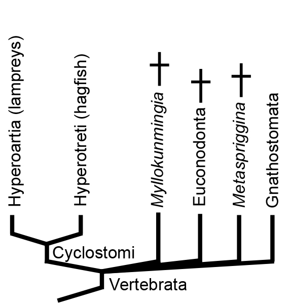 GEOL 331 Principles of Paleontology